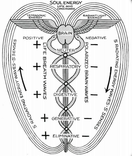 Step 3: A Different View of Spirituality – The Quantum Corner